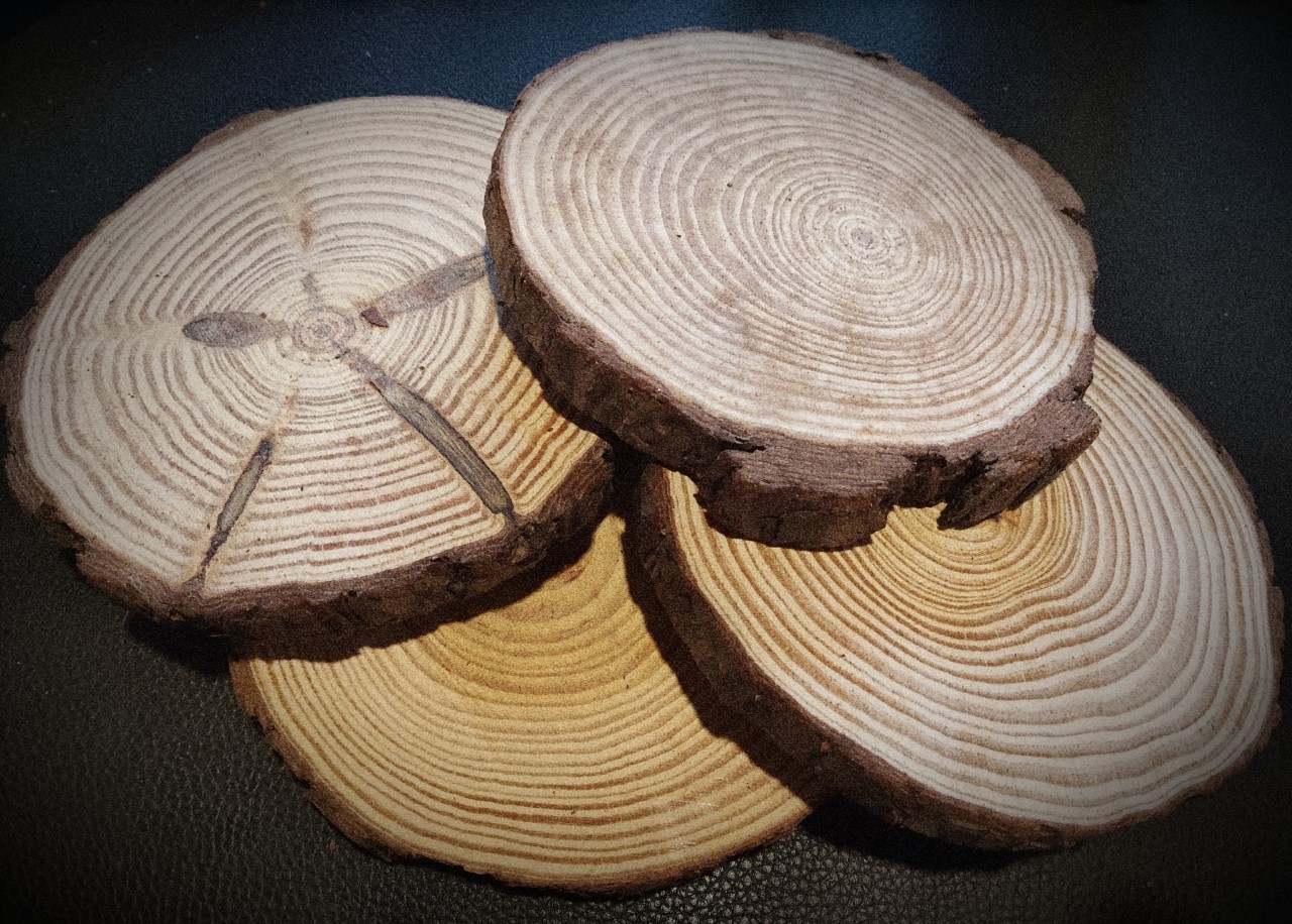 Large Wooden Round Slices - Shop and Get